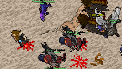 Tibia Hunt Finder, Calculators and Events Calendar | Intibia