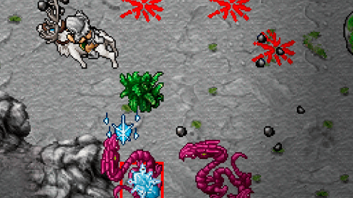 Hunt for Mages level 65+ in Vandura Wyrm Cave | Intibia