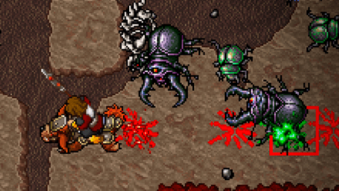 Hunt for Paladins level 60+ in Mother of Scarabs Lair | Intibia